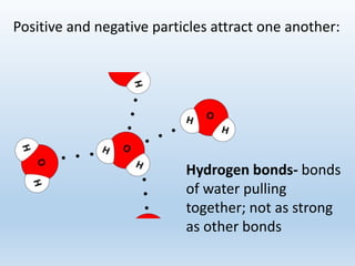 Biochem 1 water notes | PPTX