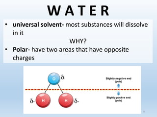Biochem 1 water notes | PPTX
