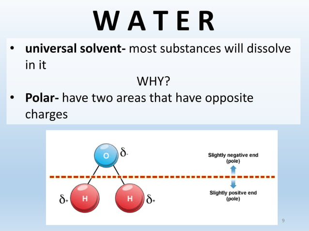 Biochem 1 water notes | PPTX | Chemistry | Science