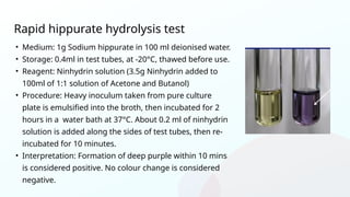 Comprehensive Overview of Biochemical Tests for Microbial ...