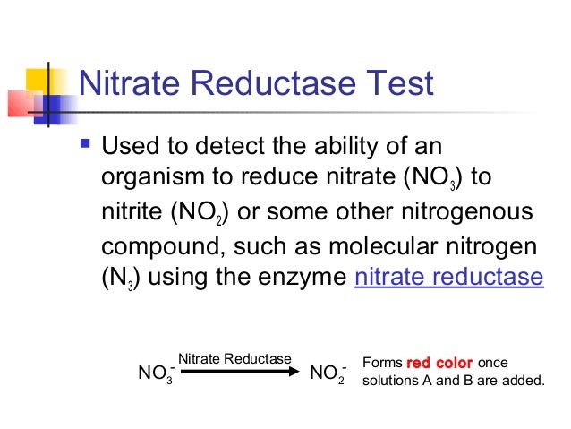 Nitrate Reduction Test Principle Procedure And Results Biochemical