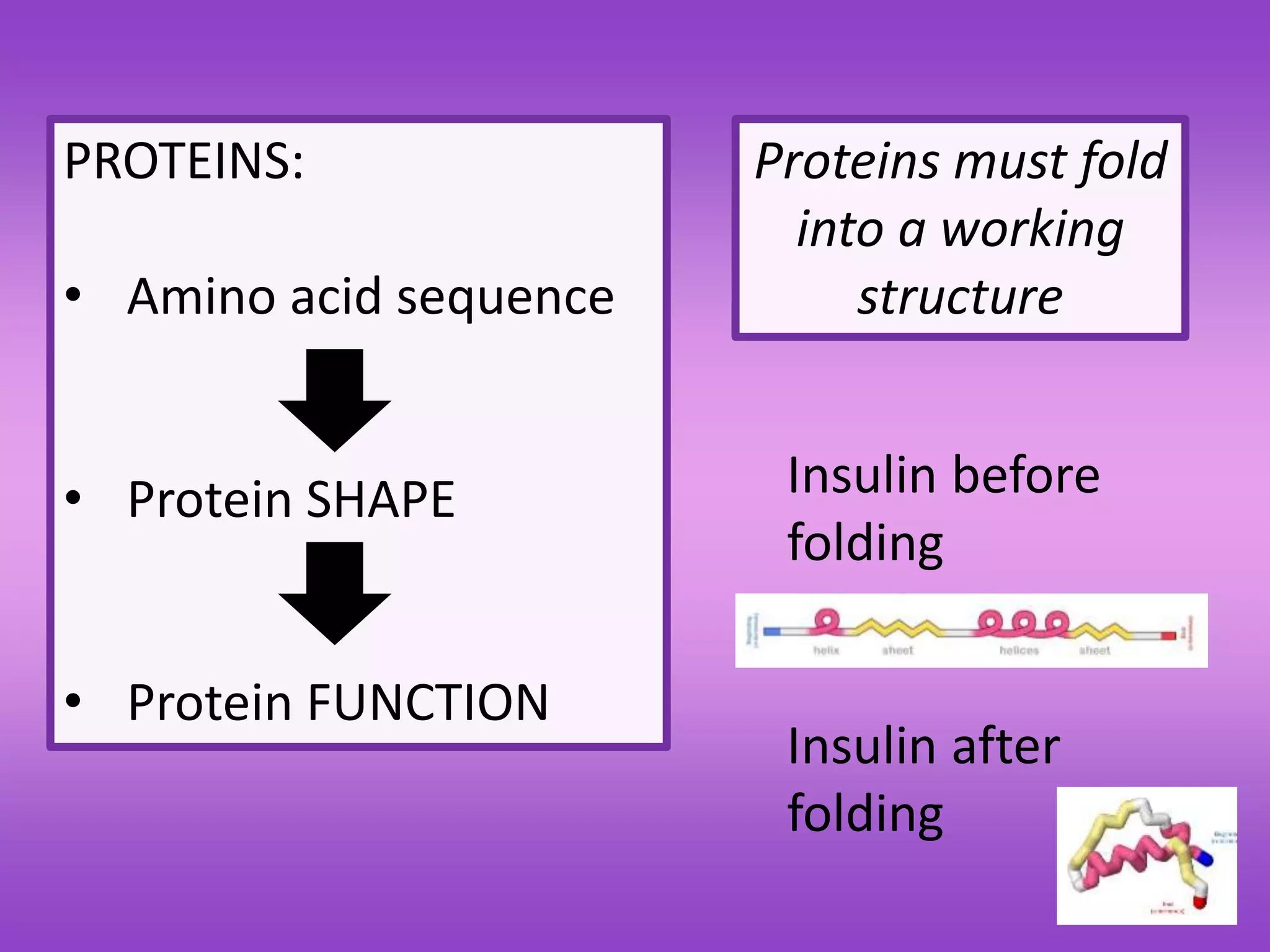 Biochem 2 macromolecules | PPT