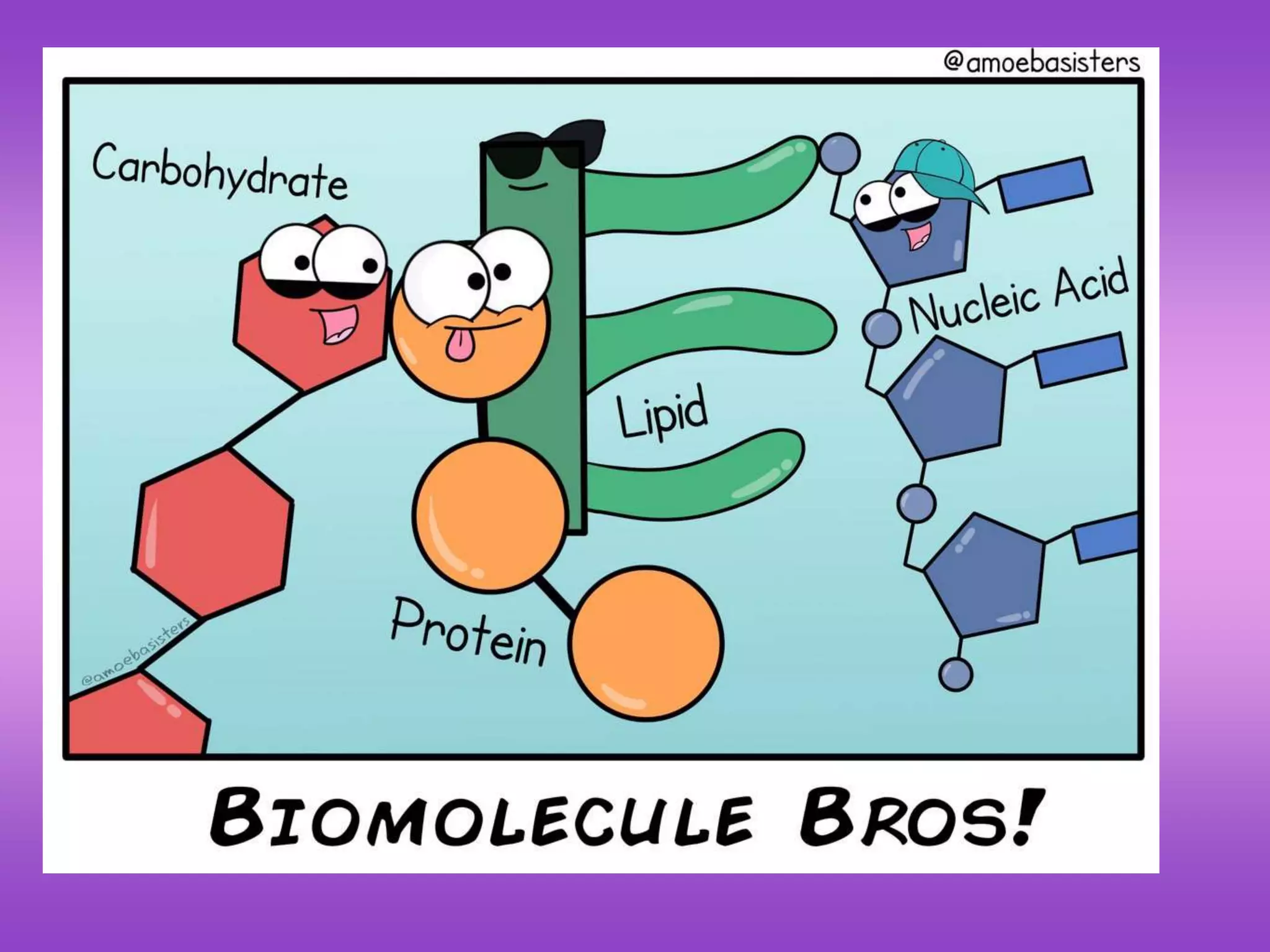 Biochem 2 macromolecules | PPT