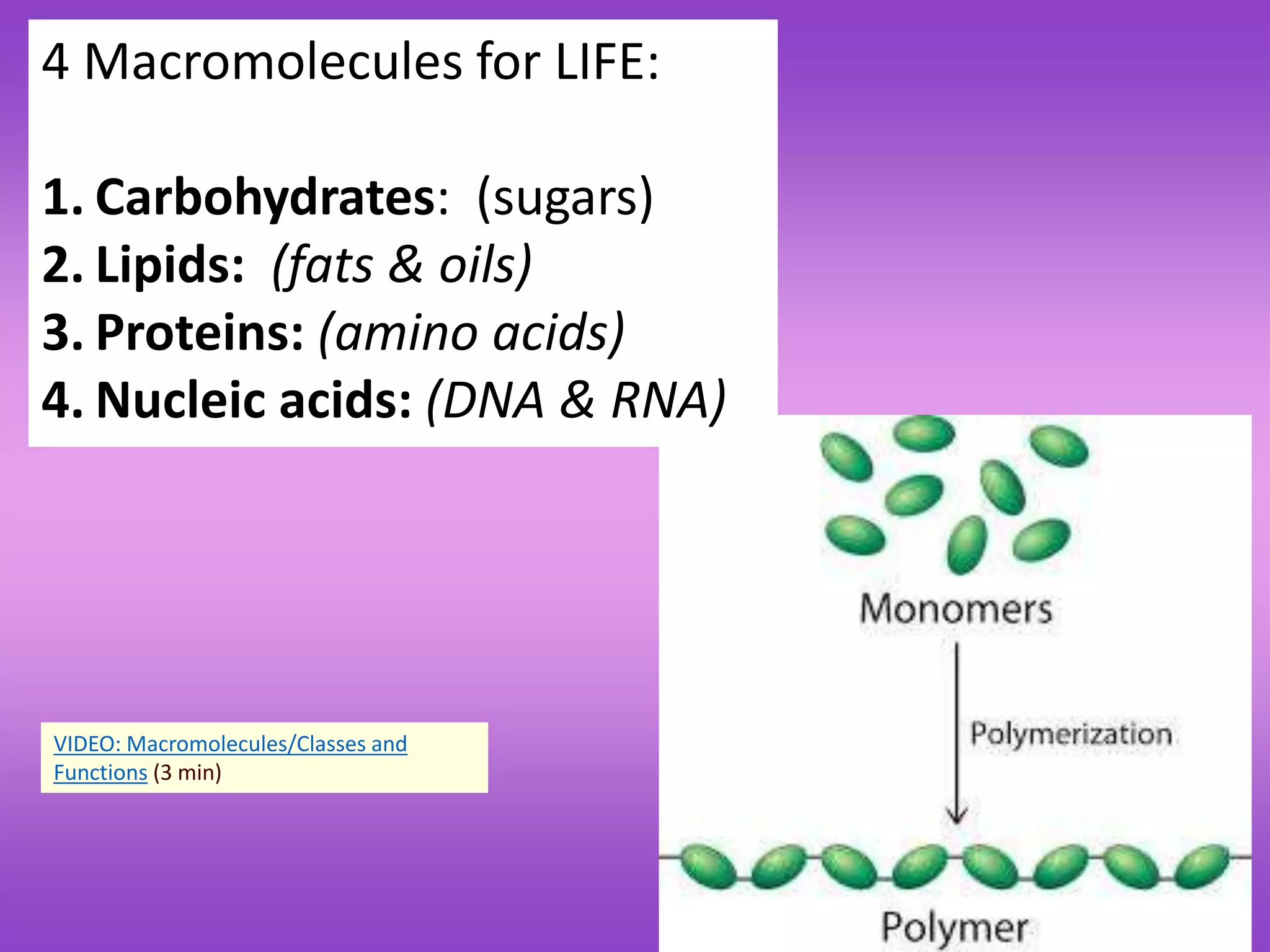 Biochem 2 macromolecules | PPT