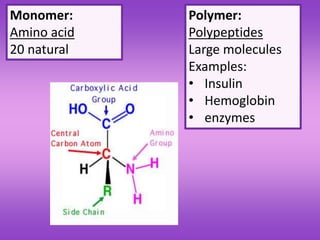 Biochem 2 macromolecules | PPTX