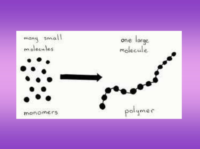 Biochem 2 macromolecules notes | PPT