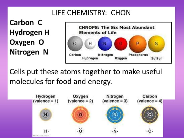 Biochemistry 2 macromolecules notes | PPT