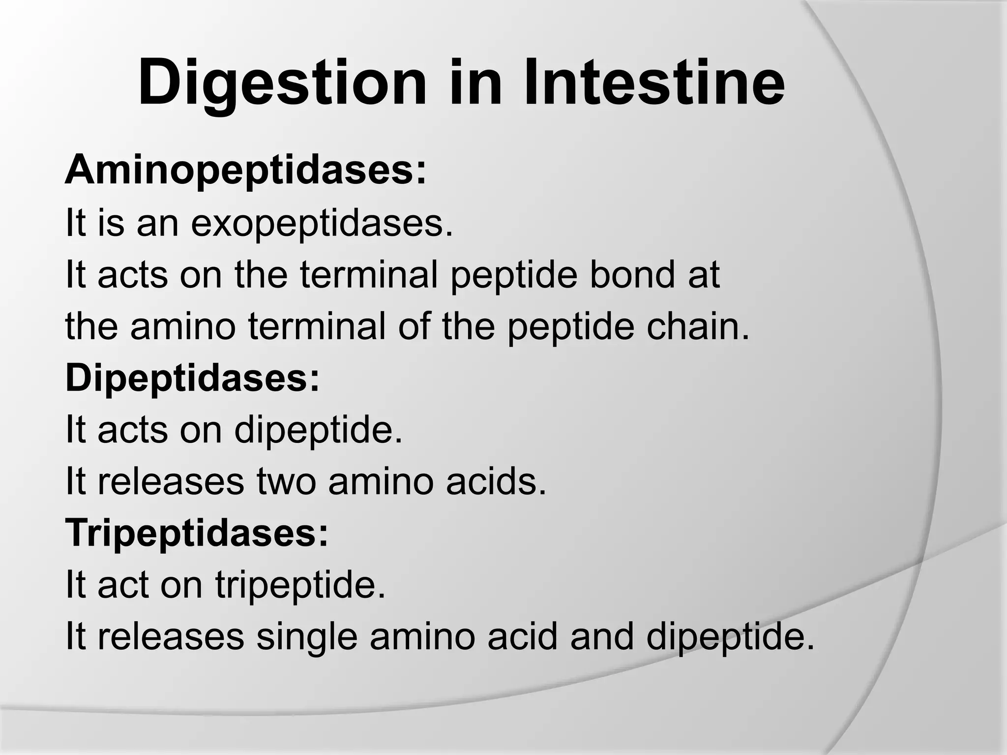 Absorption of proteins ppt | PPTX