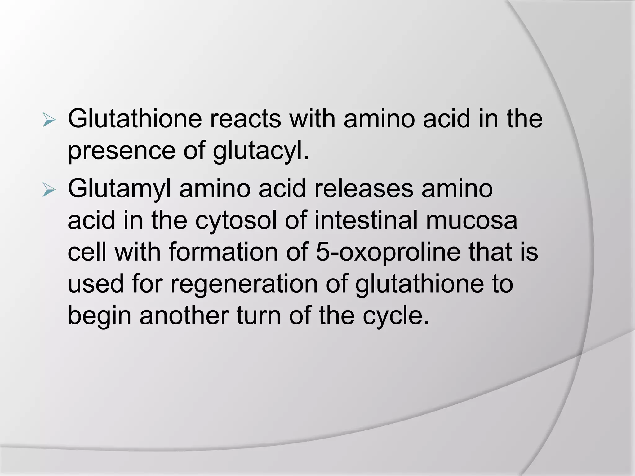 Absorption of proteins ppt | PPTX