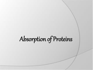 Absorption of proteins ppt | PPTX