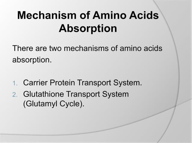 Absorption of proteins ppt | PPTX