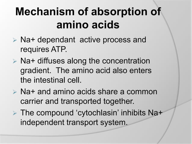 Absorption of proteins ppt | PPTX