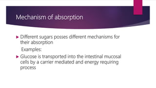 Absorption of carbohydrates ppt | PPTX