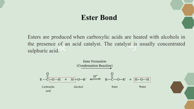 Biochem Assignment..................... ppt.pptx