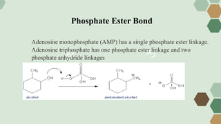Biochem Assignment..................... ppt.pptx