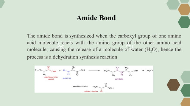 Biochem Assignment..................... ppt.pptx