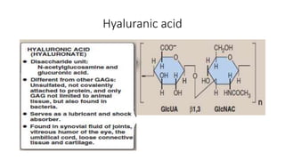 Biochem carbohydrates lec 14 18 | PPTX