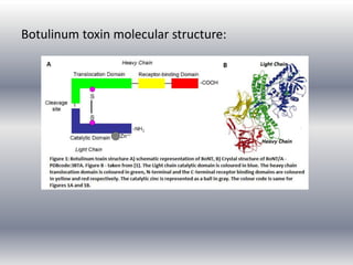 Case Study - Botulinum Toxin | PPTX | Brain and Nervous System ...