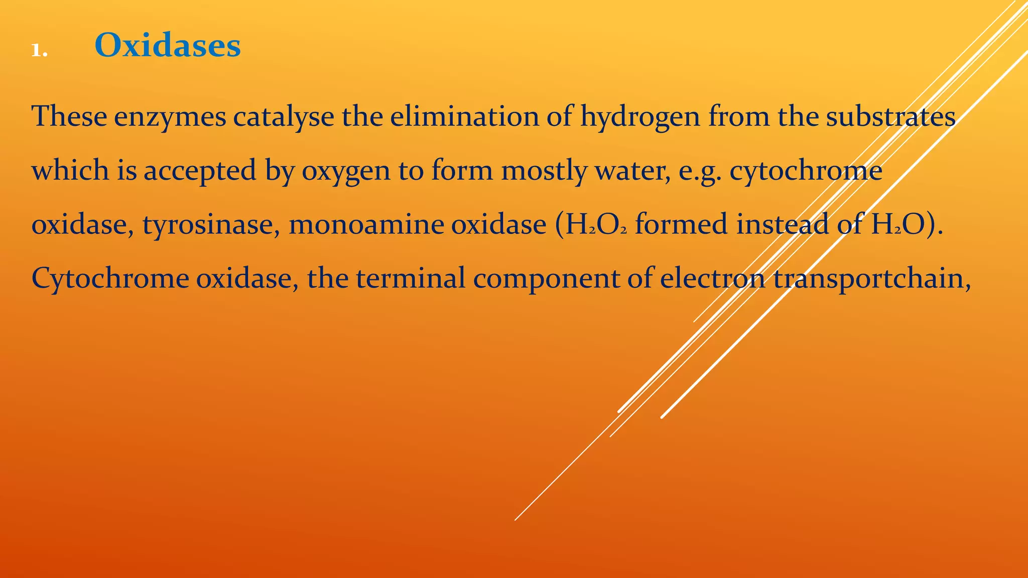 Enzymes in biological oxidation Biochem | PPTX