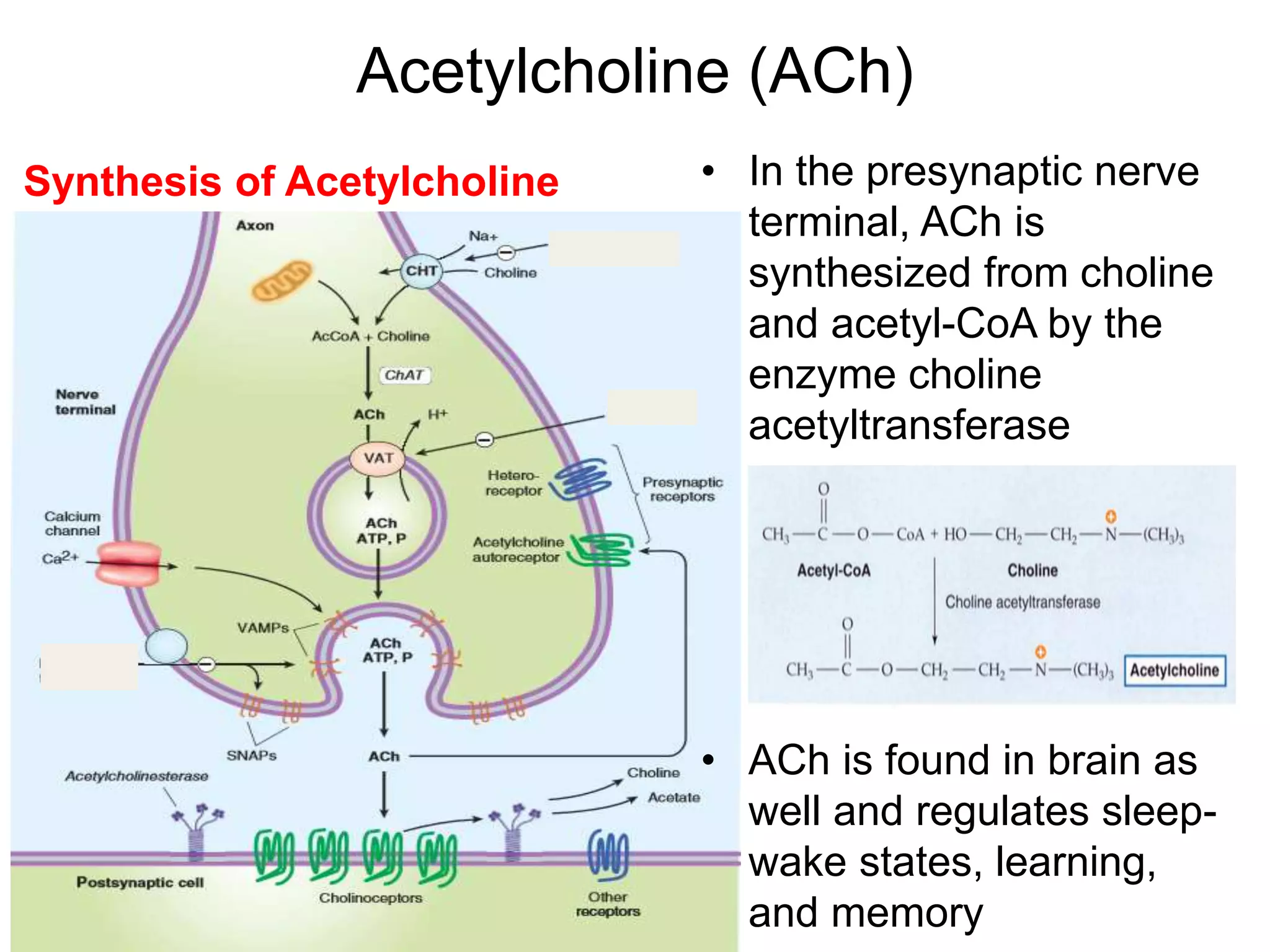 role of neurotransmitters in neuropsychriatric diseases | PPTX