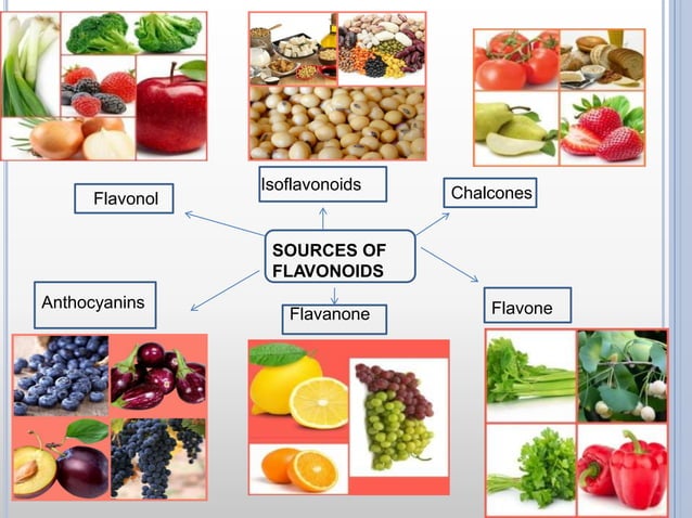 Flavonoids | PPTX