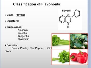Flavonoids | PPTX