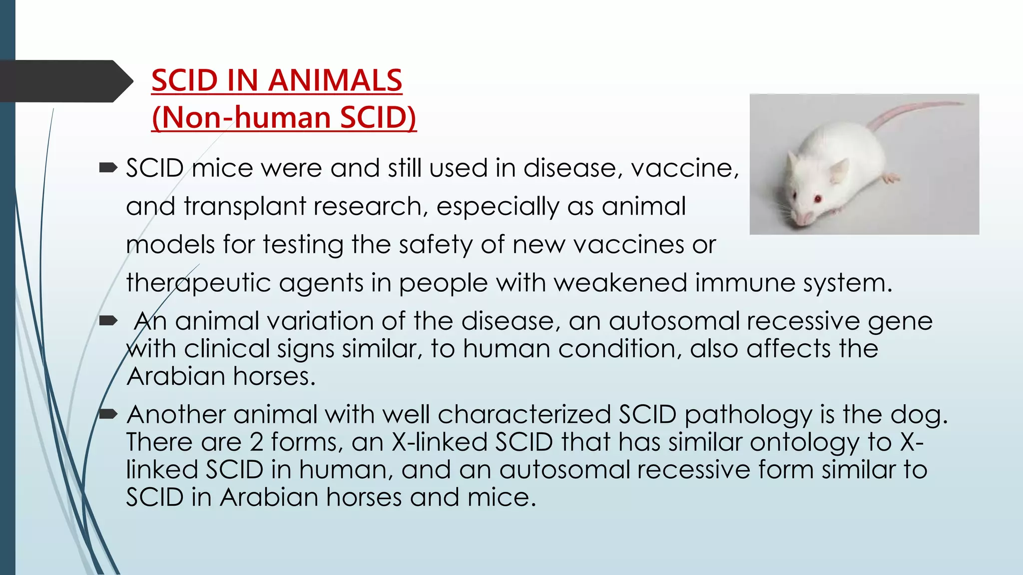 severe combined immunodeficiency syndrome | PPTX