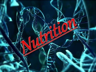 Nutrition in human beings | PPTX