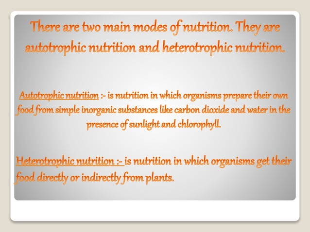Nutrition in human beings | PPTX