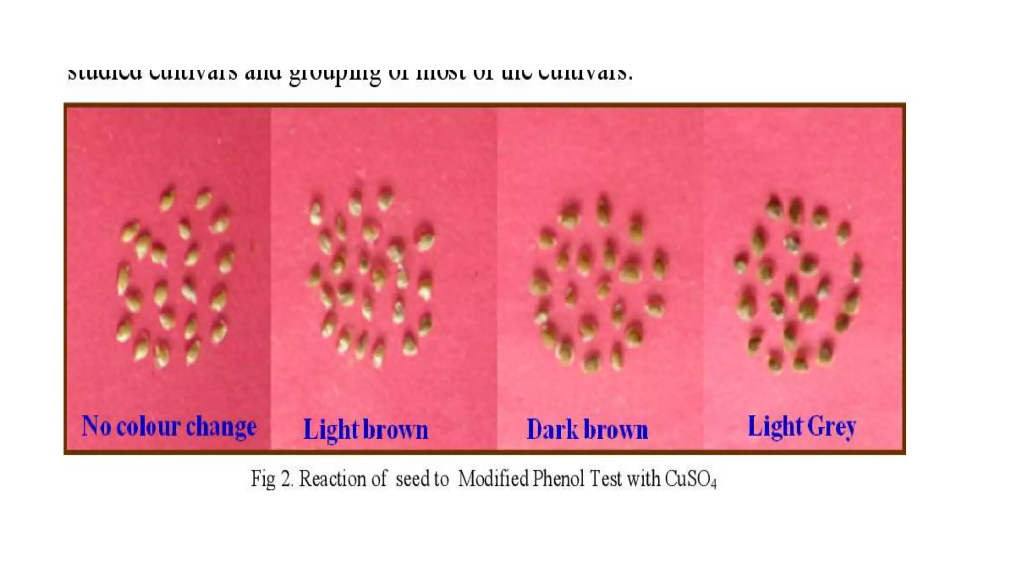 Biochemical Test For Genetic Purity Pptx Skin Care Beauty