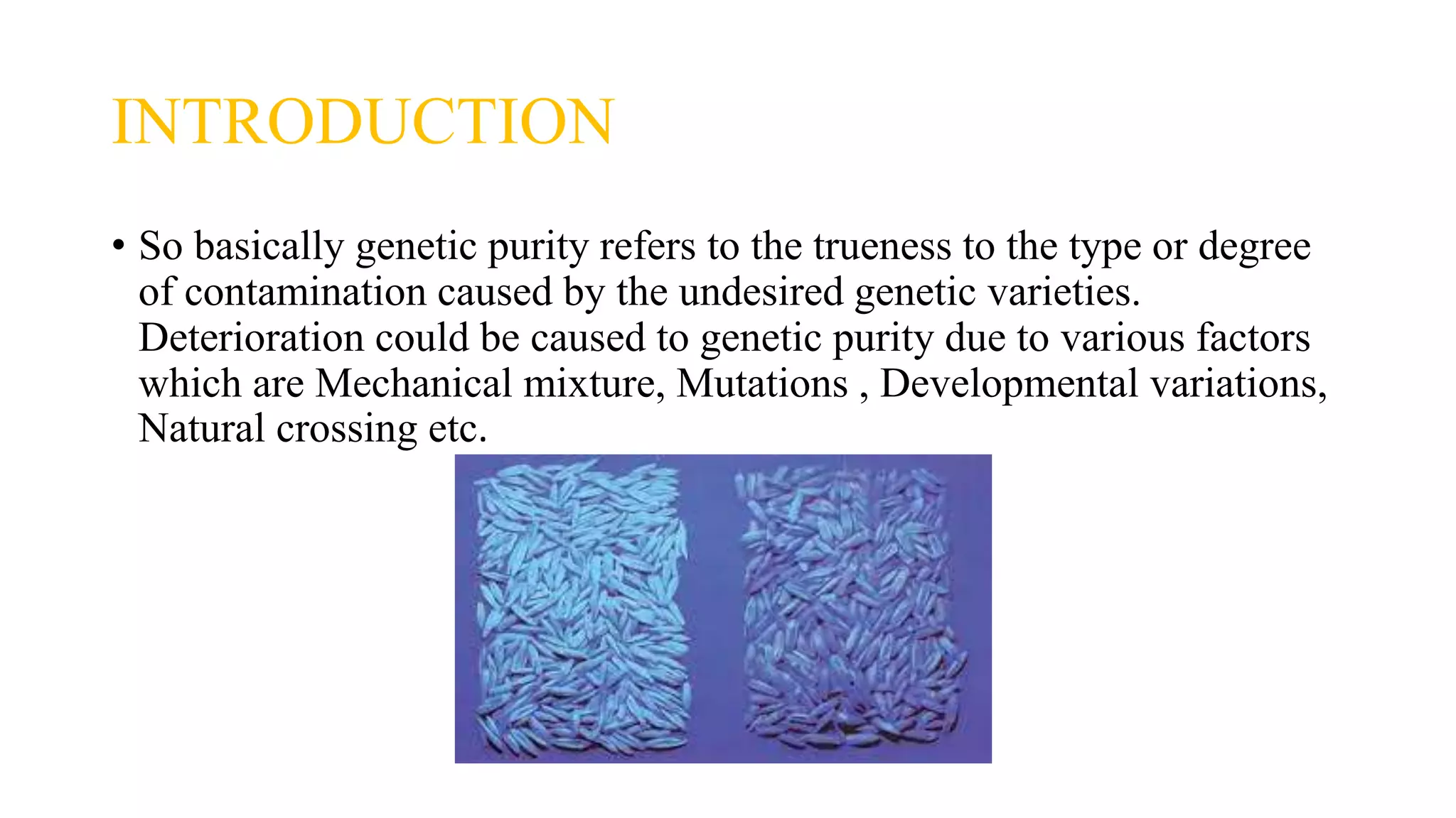 Biochemical Test For Genetic Purity Pptx Skin Care Beauty