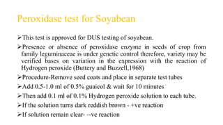 Biochemical-test-for-genetic-purity.pptx