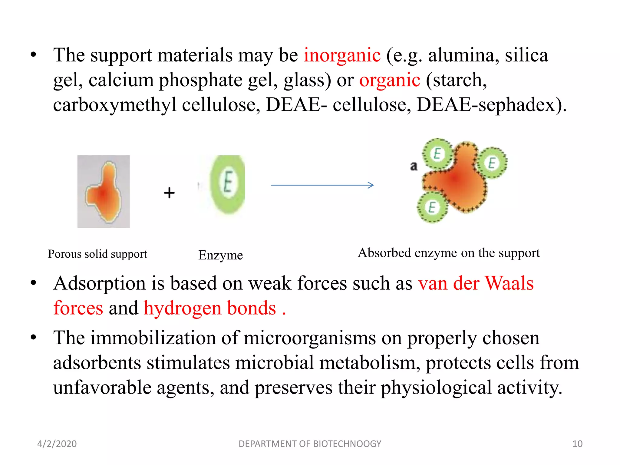 Immobilized Microbial cell | PPTX