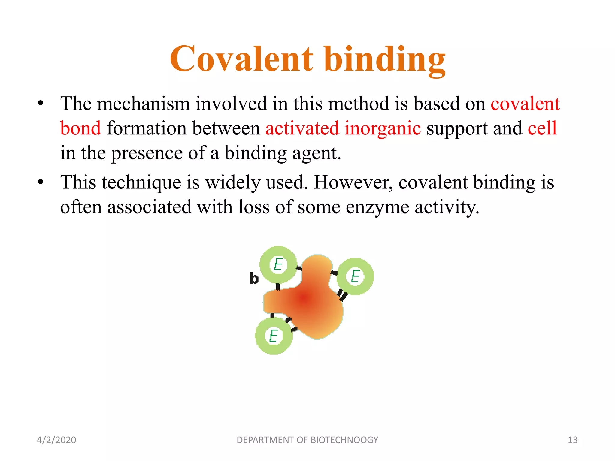 Immobilized Microbial cell | PPTX
