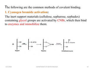Immobilized Microbial cell | PPTX