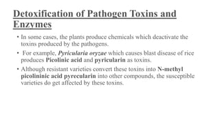 Biochemical defence mechanism of plants | PPTX