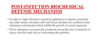 Biochemical defence mechanism of plants | PPTX