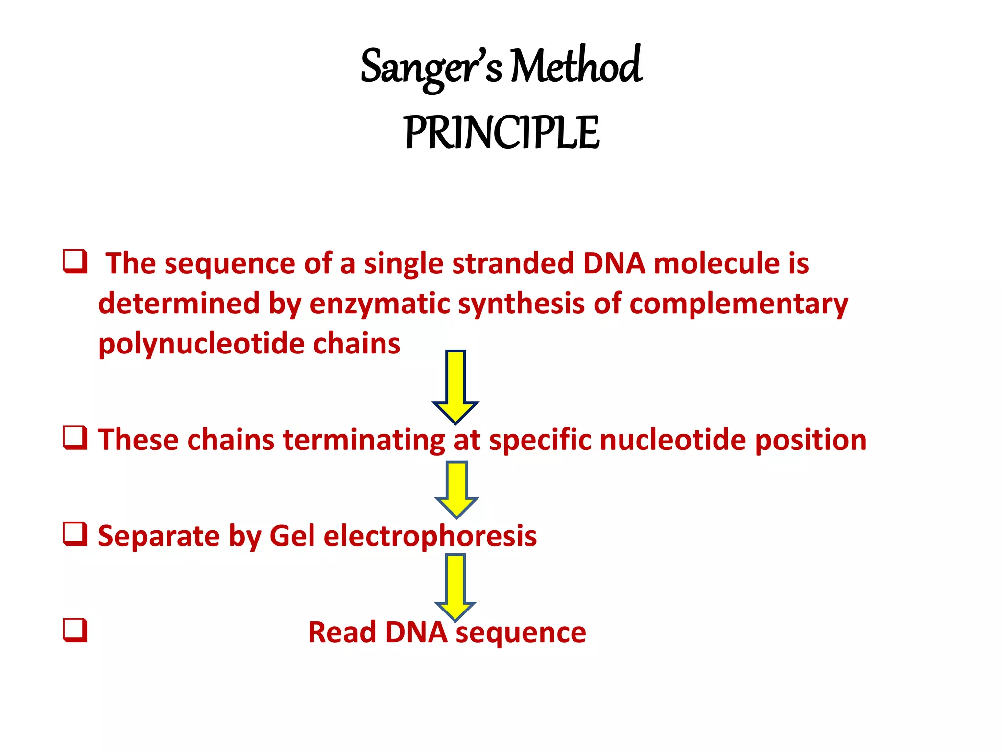 DNA TERMINATION METHOD | PPTX