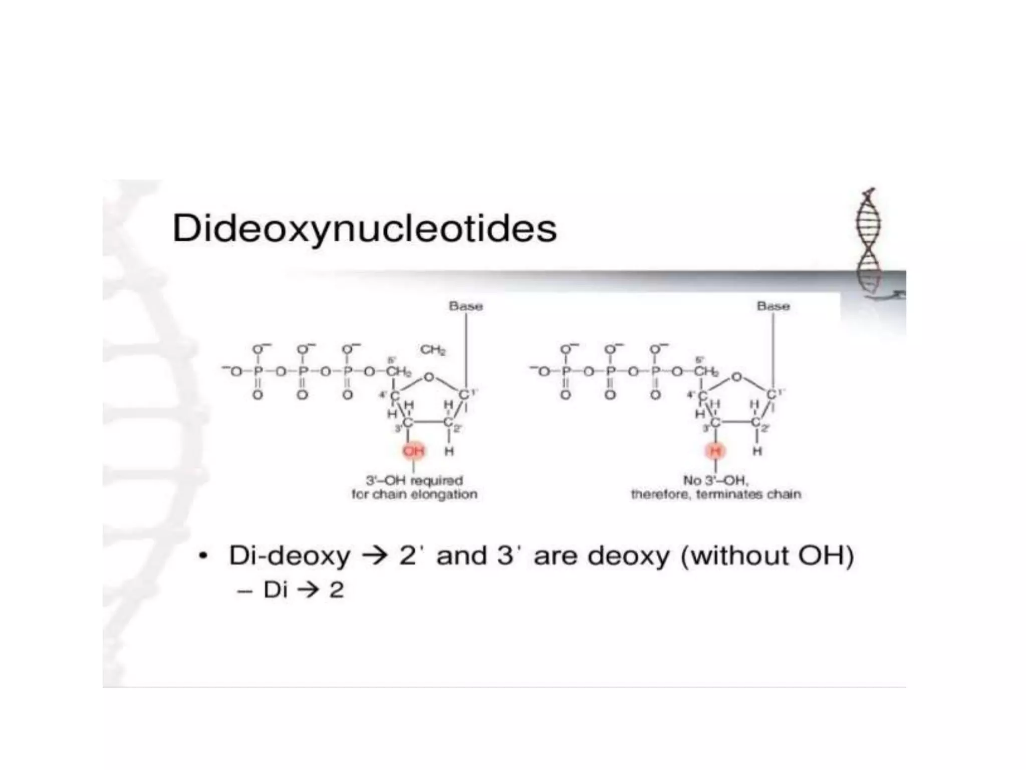 DNA TERMINATION METHOD | PPTX