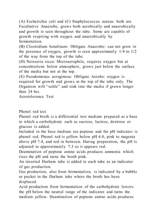 Biochemical analysis of unknown bacteriaAerotolerance Te | DOCX