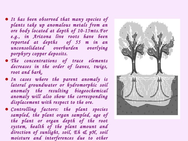 Biochemical anomolies | PPT