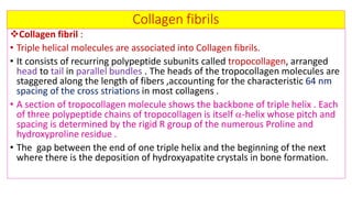 Biochemical and clinical aspects of collagen | PDF