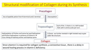 Biochemical and clinical aspects of collagen | PDF