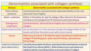Biochemical and clinical aspects of collagen | PDF