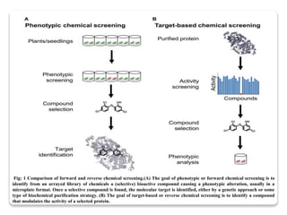 Biochemical and molecular level screening system and their strategies ...