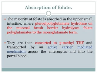 Biochemical aspects of anemia part 2.pdf