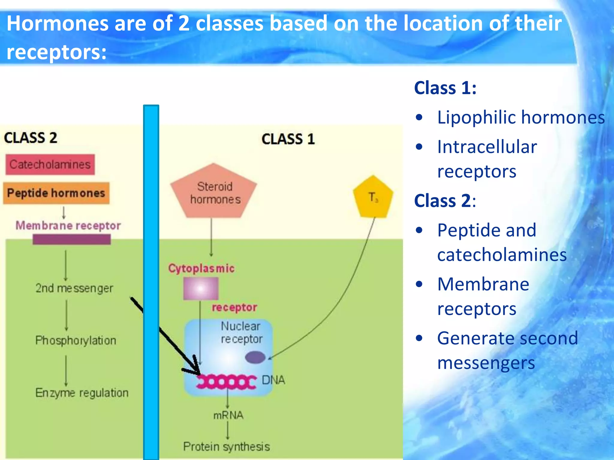 Biochemical Aspects of Hormones | PPT