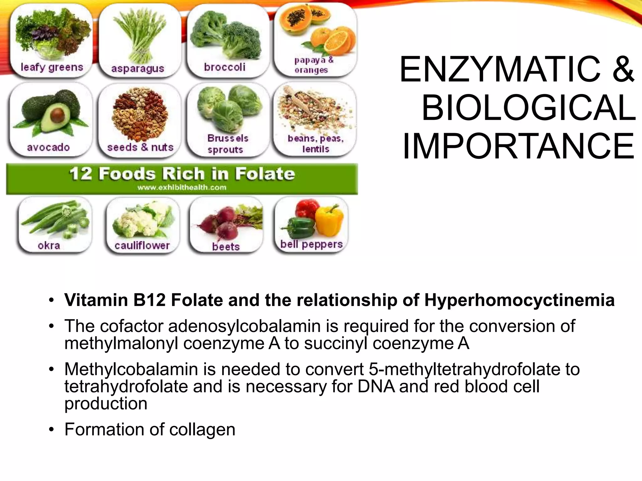 Biochemical Aspects of Vitamin B12 Deficiency - Vitaminquick | PPT