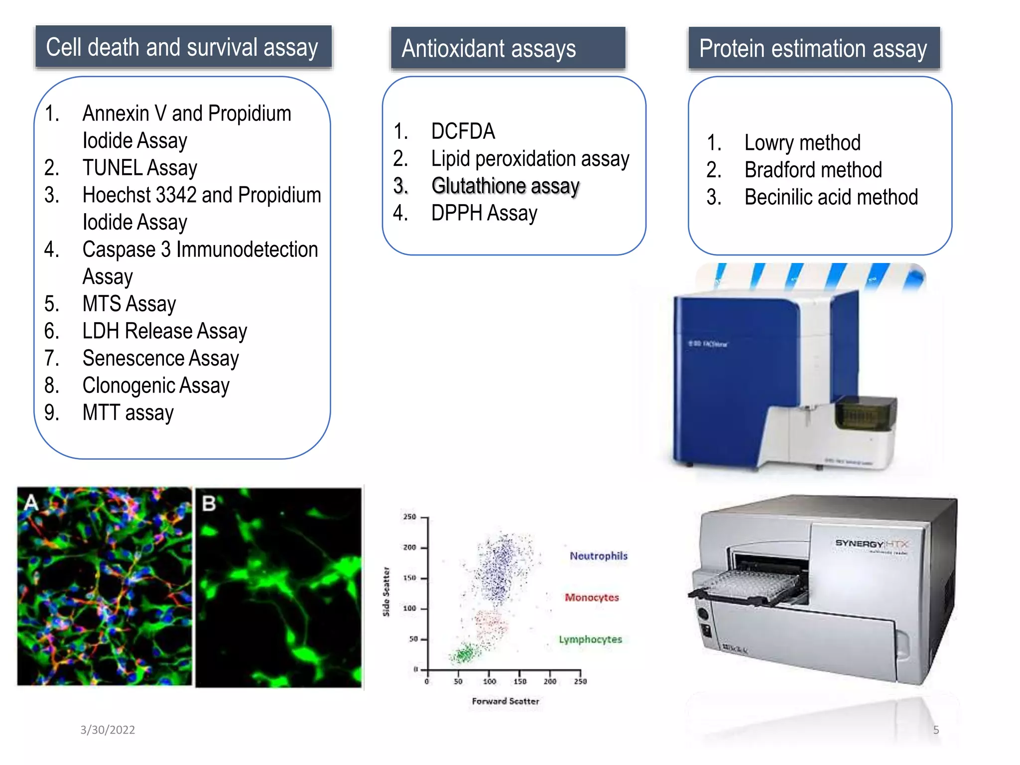 Biochemical assays.pptx | Chemistry | Science
