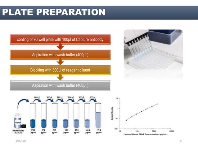 Biochemical assays.pptx | Chemistry | Science